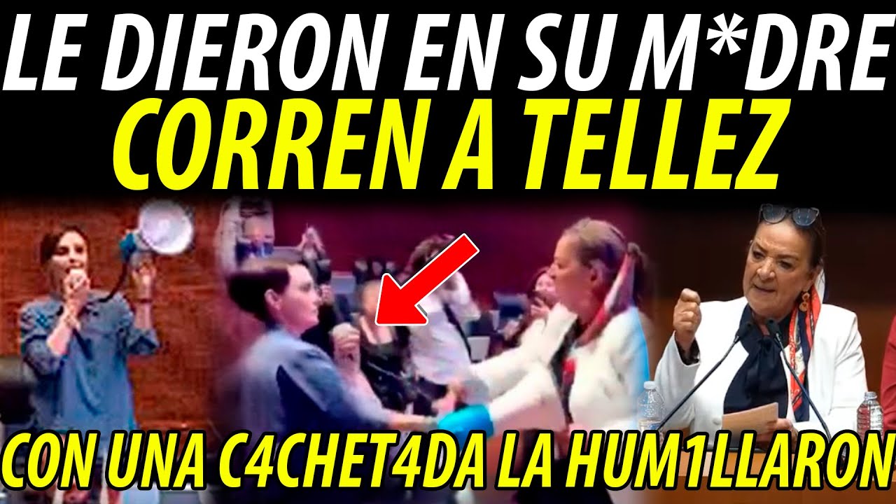 SENADORA LE QUITA EL MICROFONO A LA L0C4 DEL SENADO ¡POR FIN LE ...