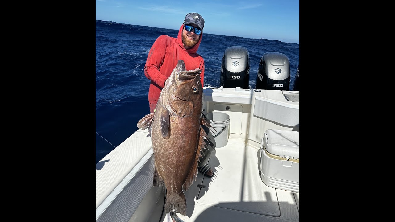 Deep dropping on the north shore banks of Curadise for grouper and ...