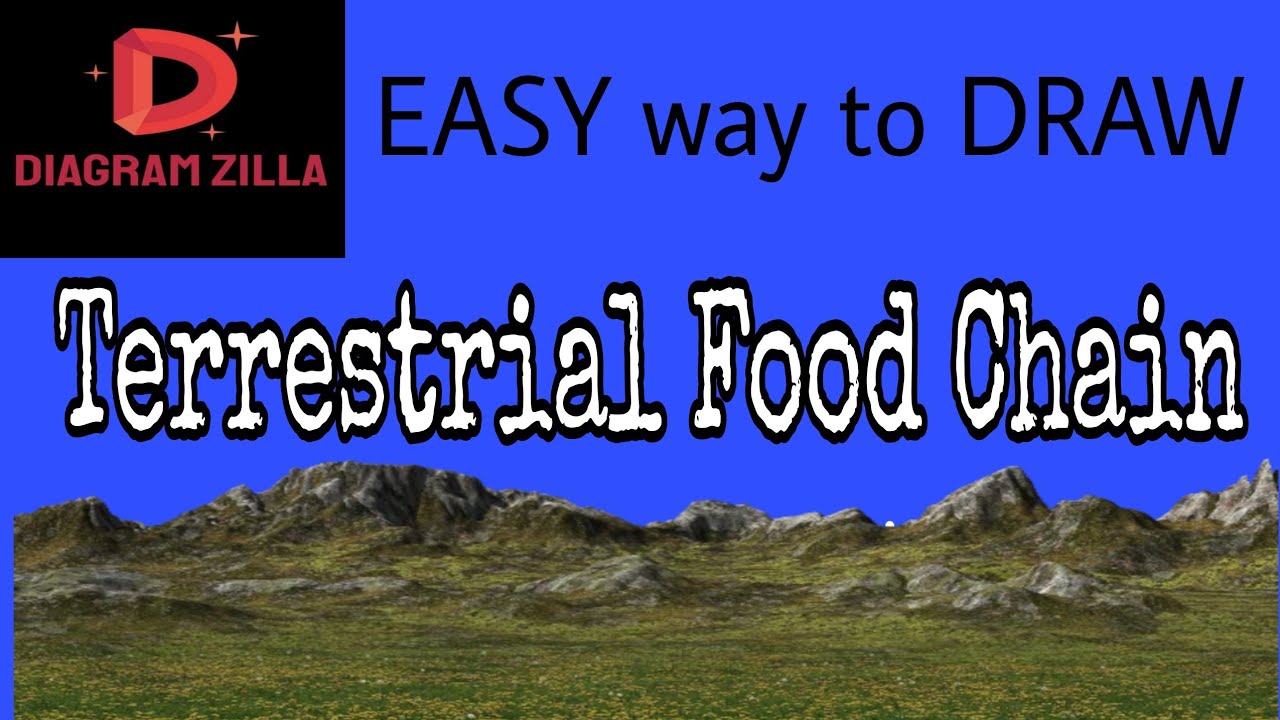 Easy way to Draw Terrestrial Food Chain /diagram/science @Heaven-Kids ...