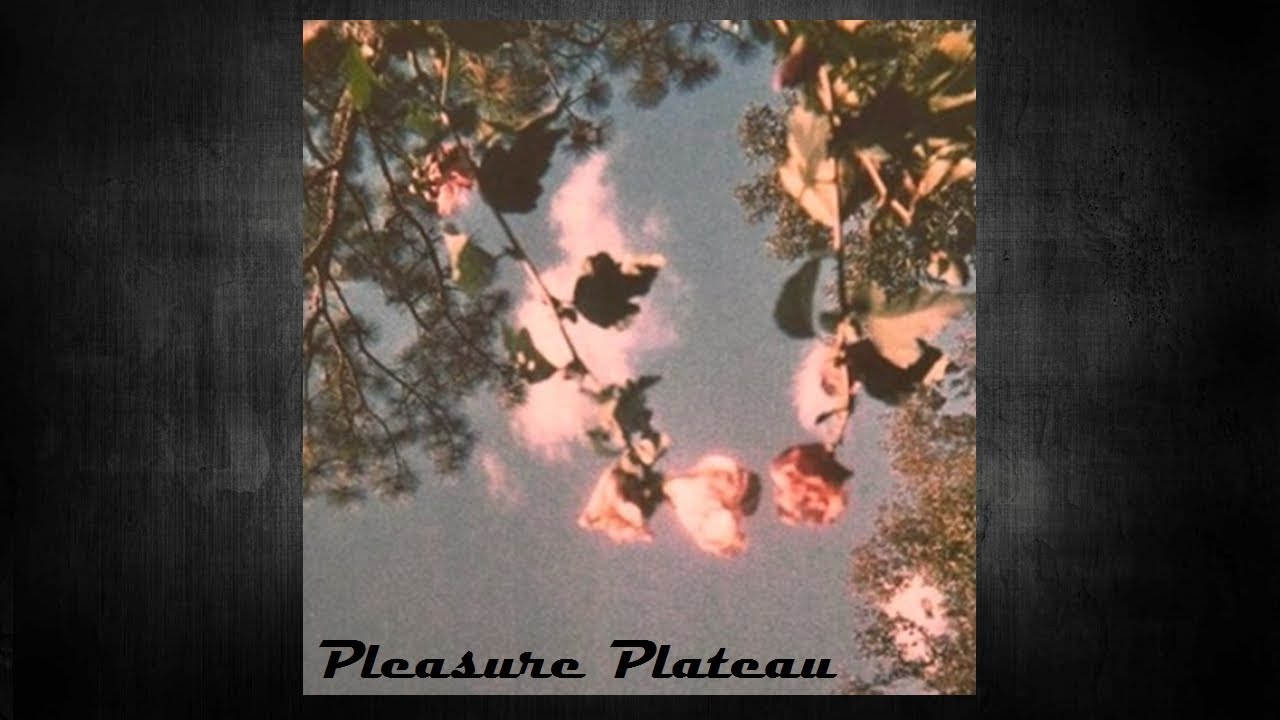 Pleasure Plateau - Memory Foam - YouTube