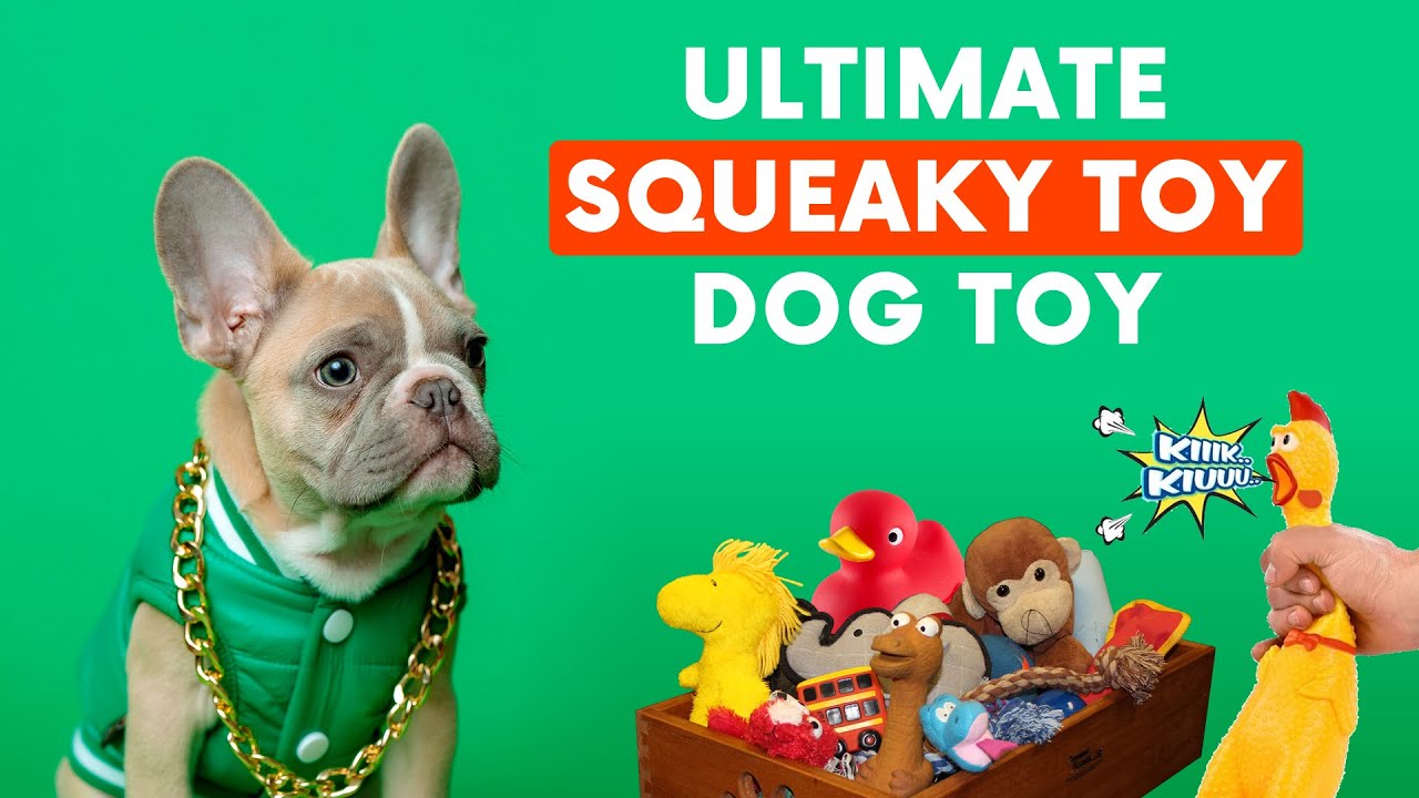 ULTIMATE Squeaky Toys Dog Toy Sounds for Dogs - YouTube