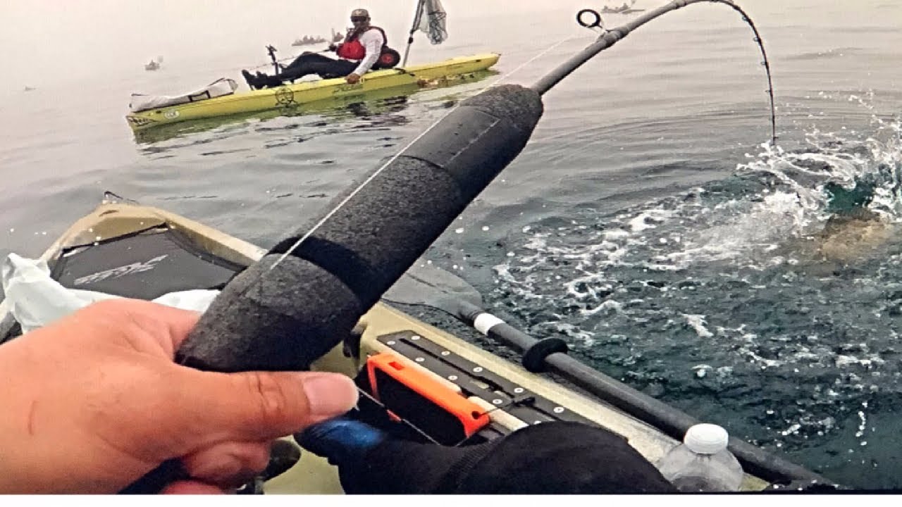 Timber Cove fishing before Fresh N Salty Tournament landed my PB Ling ...