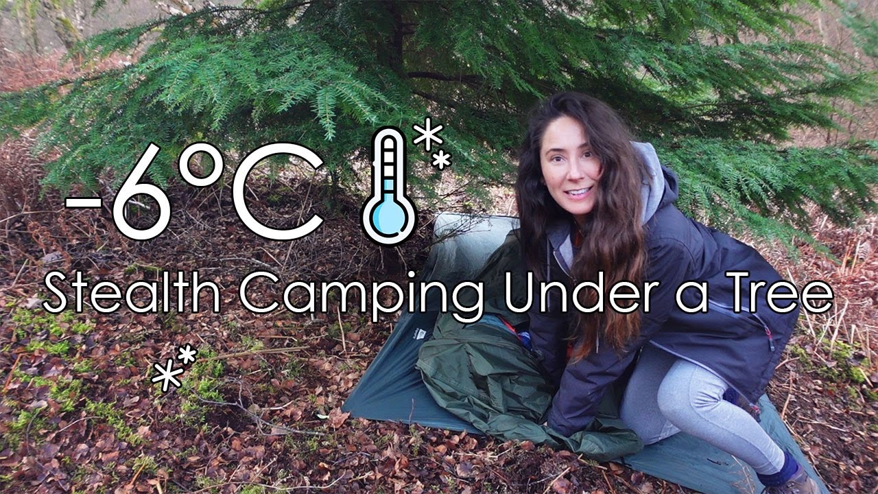 Stealth Camping Under a Tree 🥶 Below Freezing -6°C - YouTube