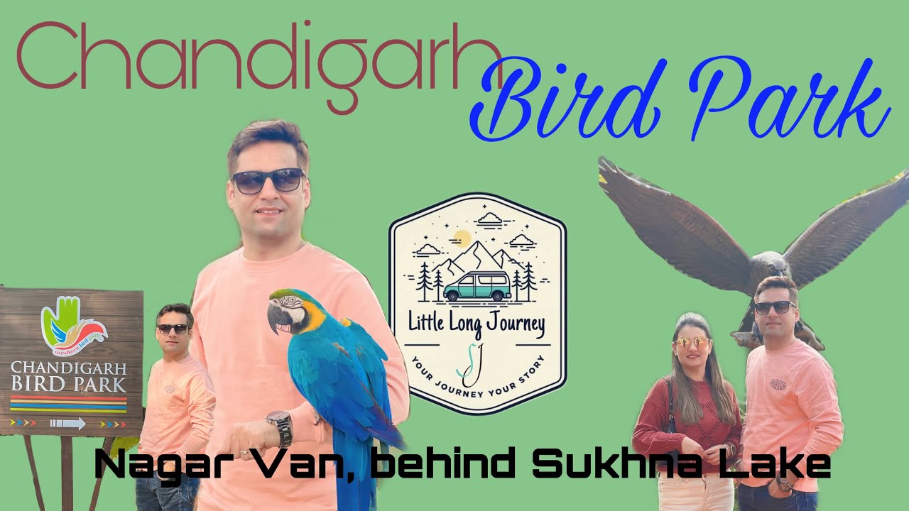 Bird Park Chandigarh - 550 Exotic Birds - 48 species - Beautiful Van ...