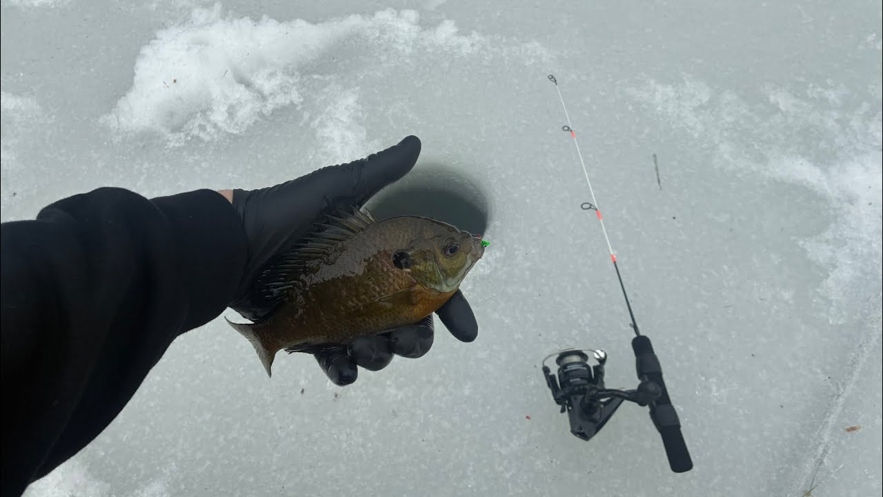 Ice Fishing a Local Pond for Panfish - YouTube