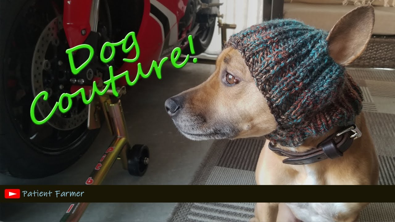 Let's Make A Custom Dog Balaclava - YouTube