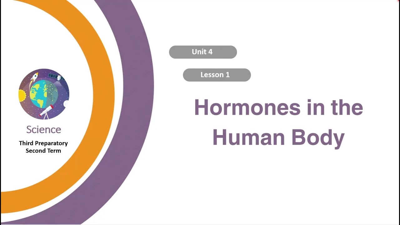 Unit 4 - Lesson 1 - Hormones in the Human Body - YouTube