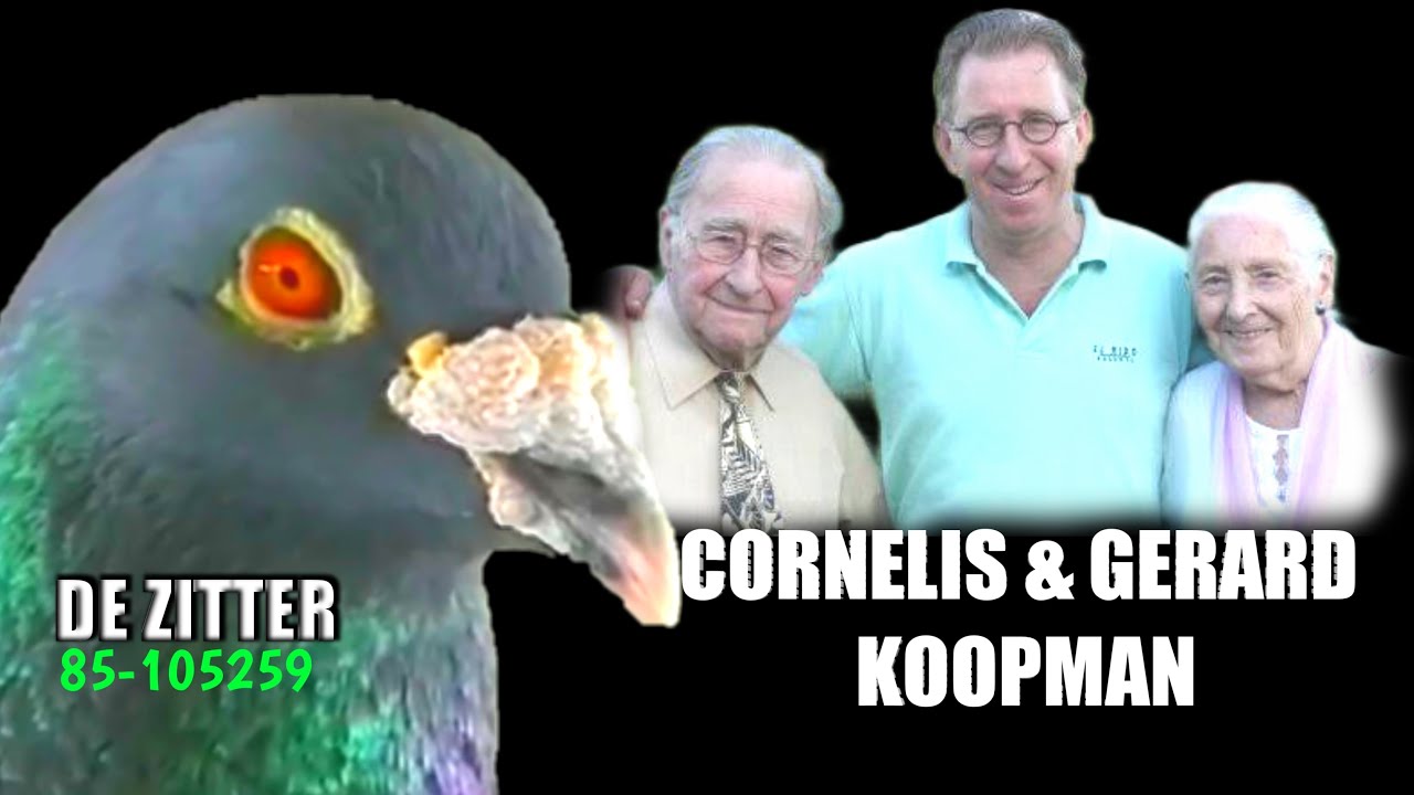#PigeonFancierHistory | C & G KOOPMAN - YouTube