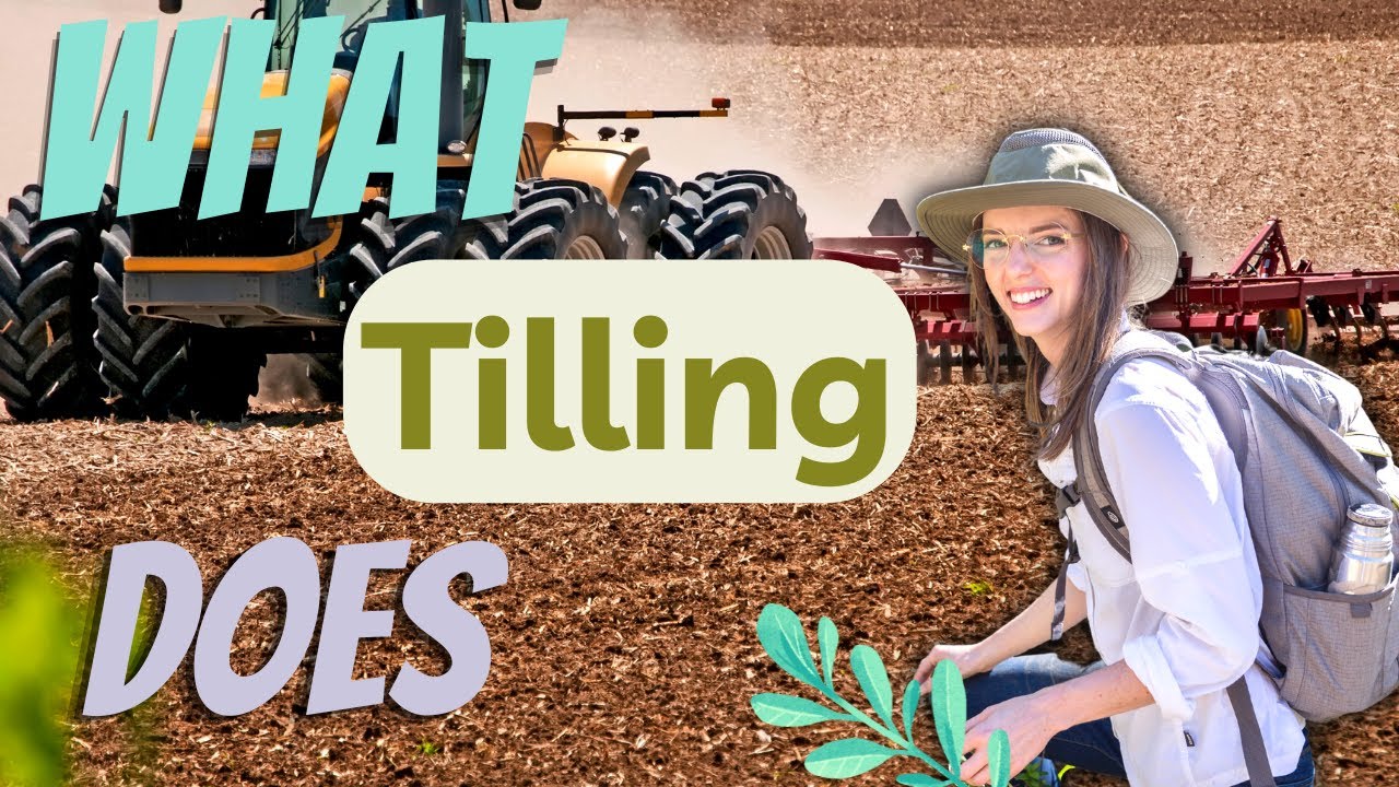 How Does Tilling Impact The Soil | Andie Marsh - YouTube