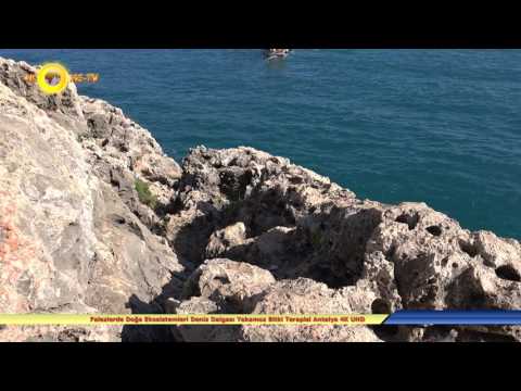 Falezlerde Doğa Ekosistemleri Deniz Dalgası Yakamoz Bitki Terapisi Antalya 4K UHD
