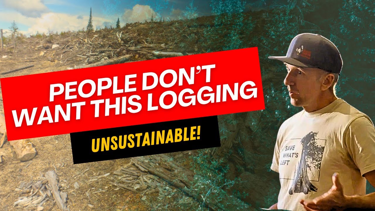 BC’s Forests Are Disappearing: How BC Timber Sales Is Fueling ...