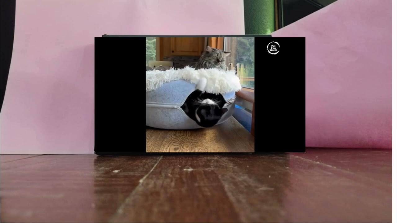 Stop Motion with my friend Yannay - YouTube