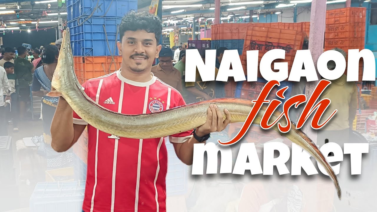 Naigaon Wholesale Fish Market | Biggest Fish Market in Mumbai | Naigaon ...