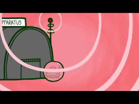 Cell vs virus A battle for health - YouTube