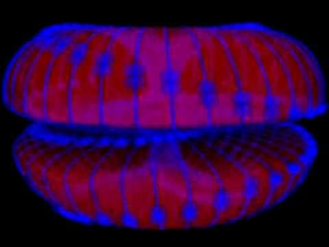 Space Jam (Squarepusher, "Dimotane Co.") - YouTube