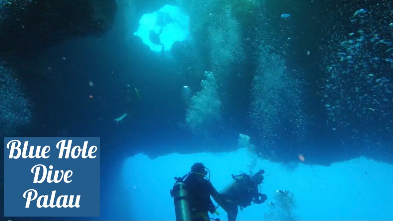 Blue Hole Dive Site, Palau - YouTube