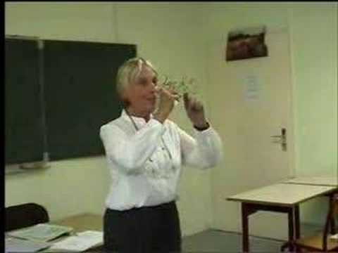 zipidee doo da - YouTube