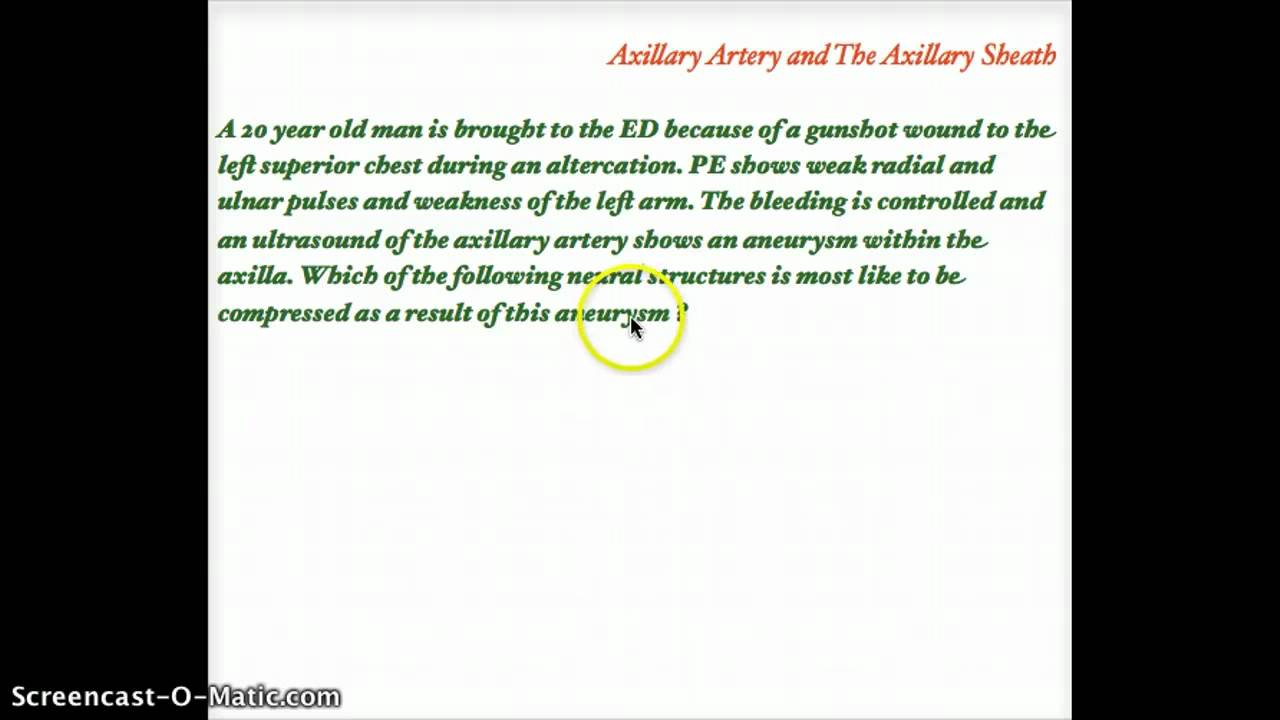 The Axillary Artery and the Axillary Sheath - YouTube