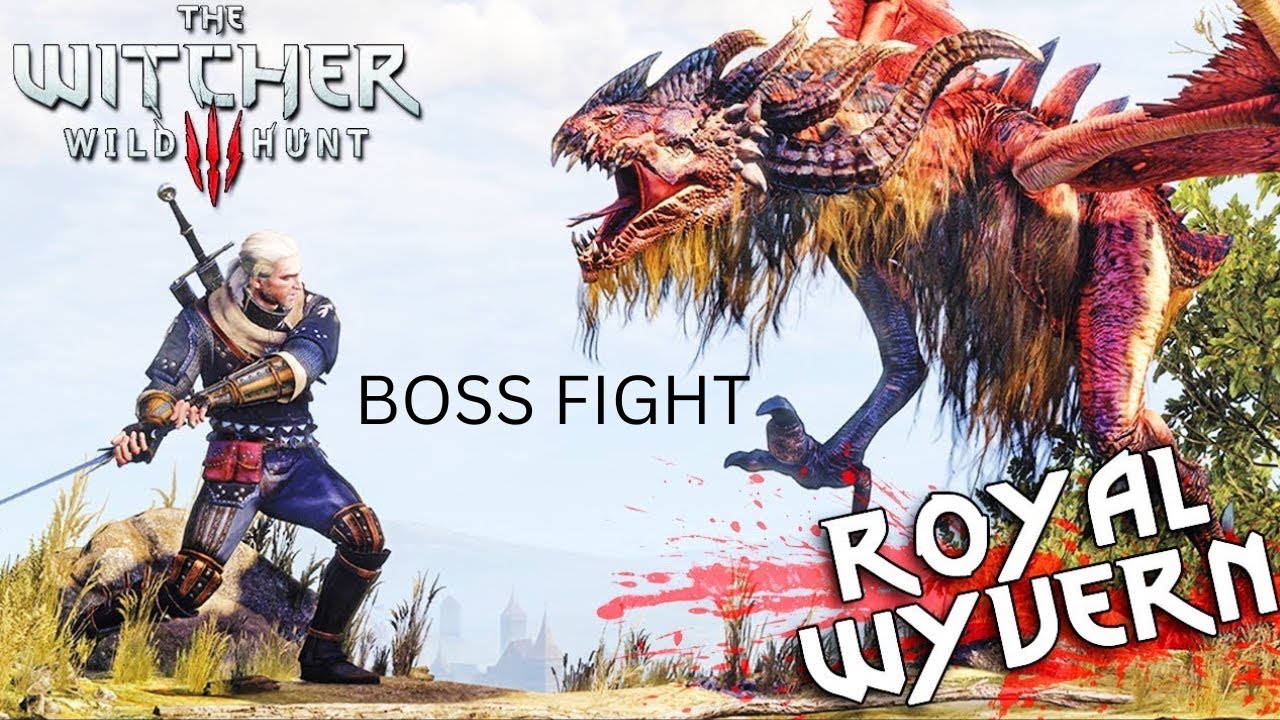 Royal Wyvern Boss fight Witcher 3 Wild Hunt - YouTube