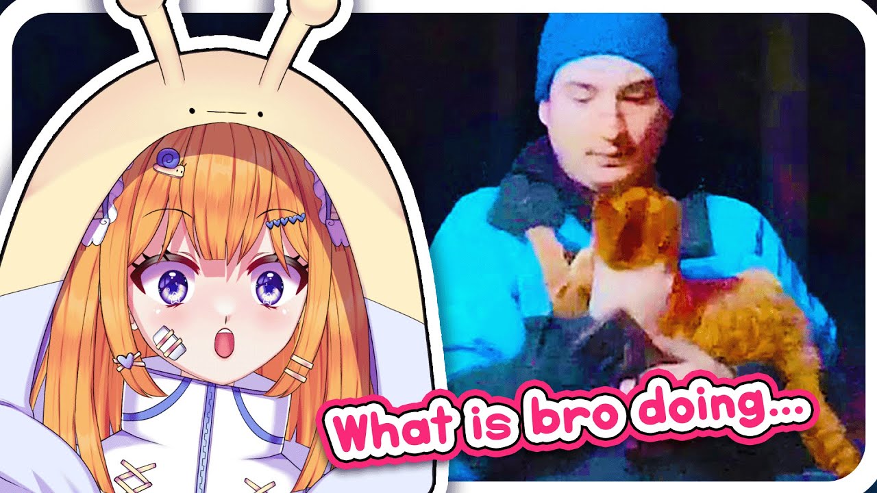 He did WHAT with the CAT?? | Snail Vtuber reacts to Daily Dose of ...