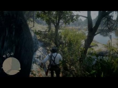 Red Dead Redemption 2 Hidden Gold Near Elysian Pool - YouTube