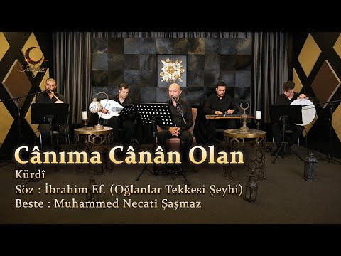 Cânıma Cânân Olan - Kürdî