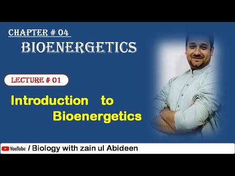 Bioenergetics | A Brief Introduction | Energy transformation in living ...