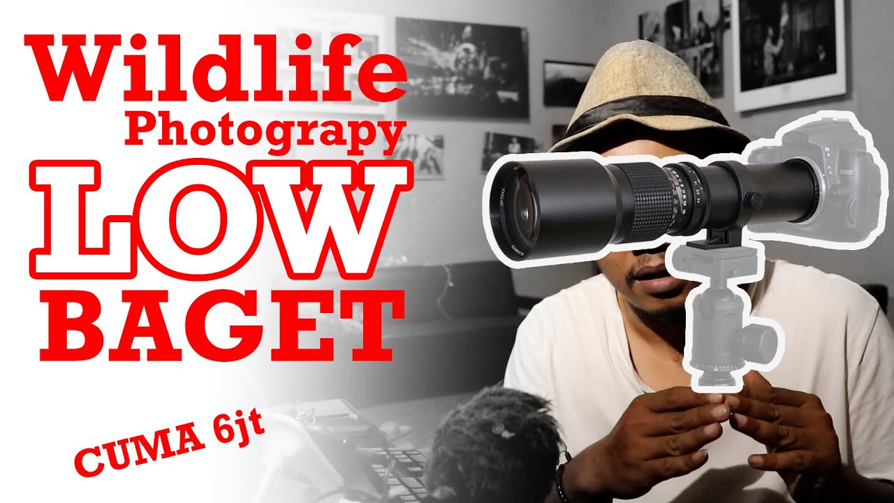 Tips Wildlife Photography Low Baget - YouTube