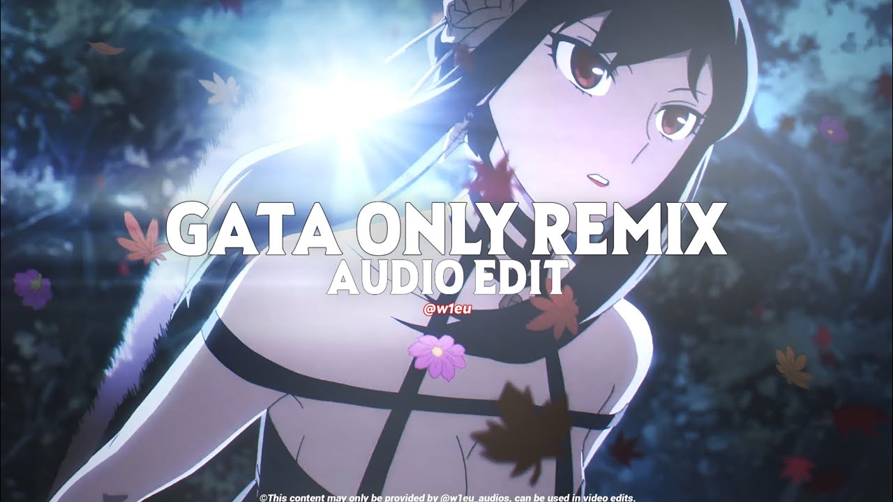 Gata only (dscvr remix) - FloyyMenor & Cris MJ [edit audio] - YouTube