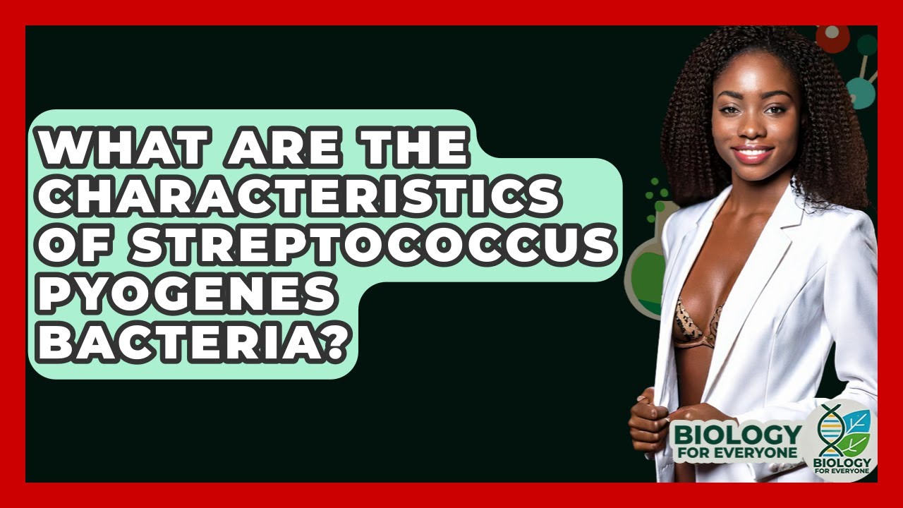 What Are The Characteristics Of Streptococcus Pyogenes Bacteria ...