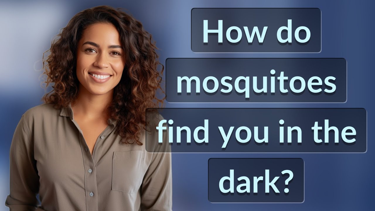 How do mosquitoes find you in the dark? - YouTube