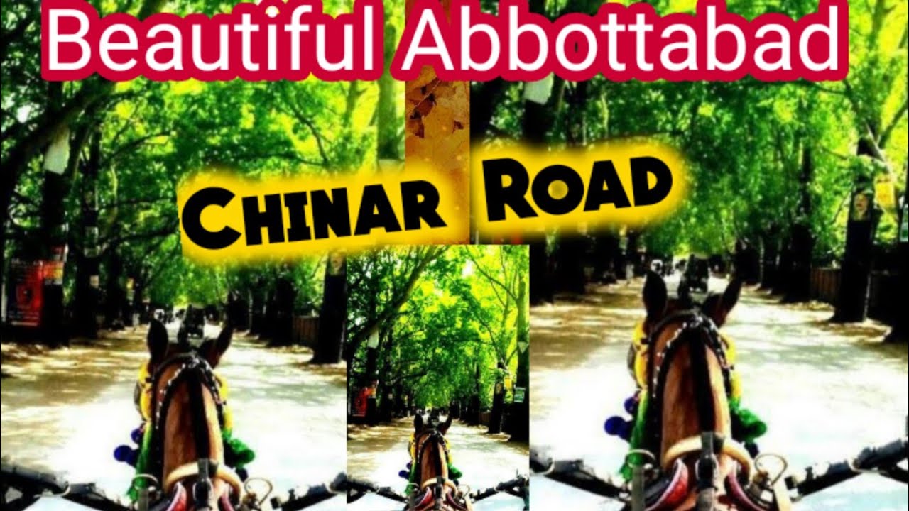 Abbottabad Pakistan, Beautiful Abbottabad, Chinar Road, Tanga - YouTube