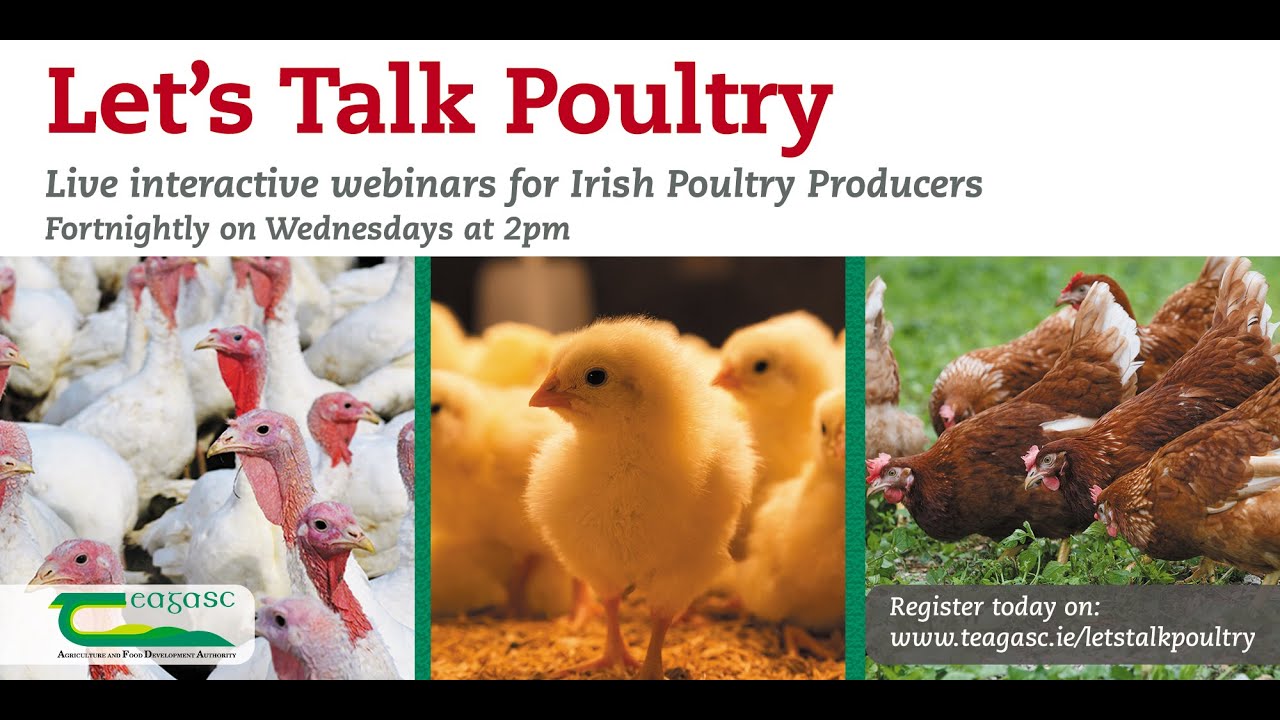 Let's Talk Poultry Webinar- Cocci – Prevention is better than Cure ...