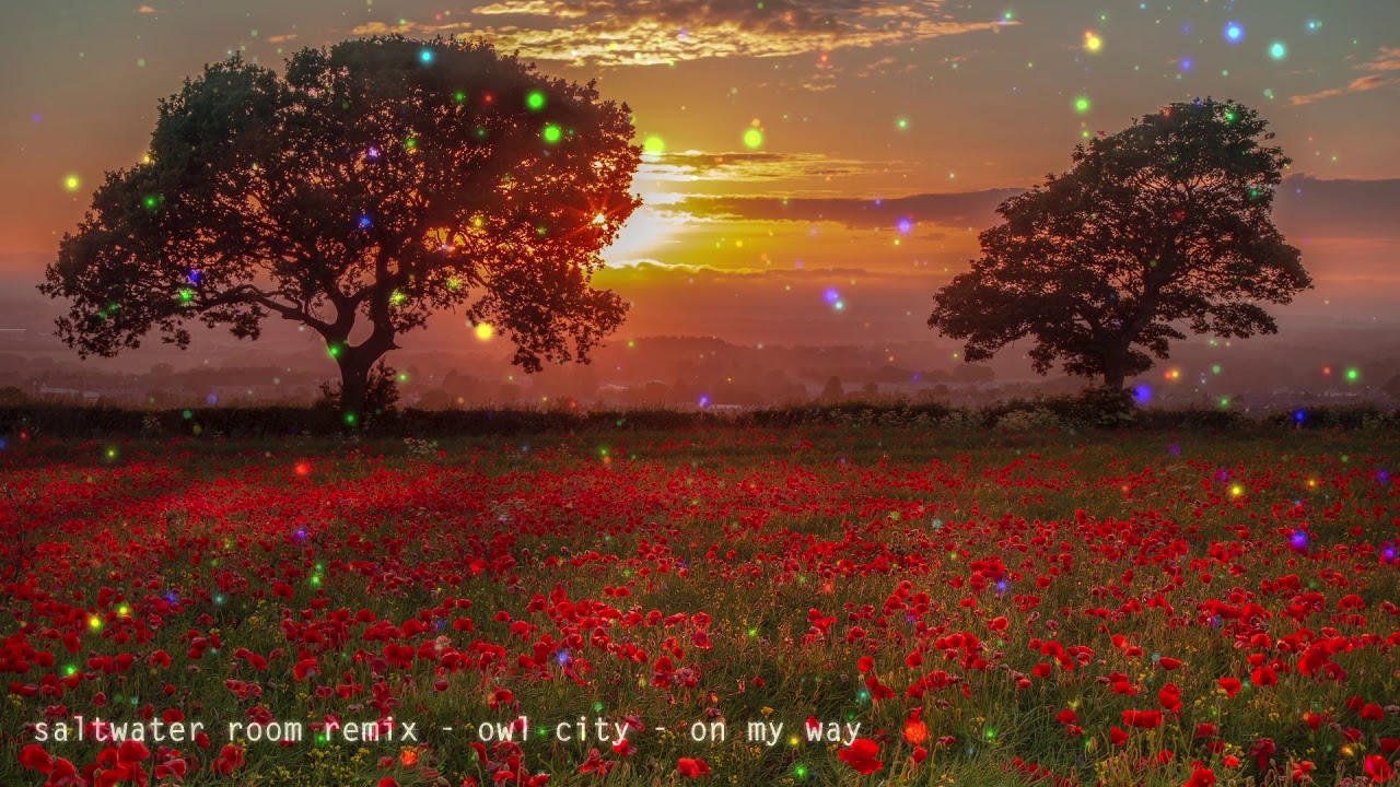 Owl City The Saltwater Room - Remix - YouTube