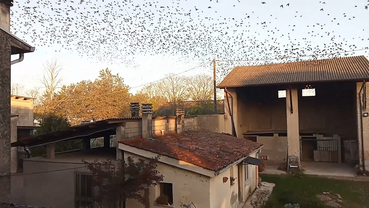 Di nuovo pronti per partire! - YouTube