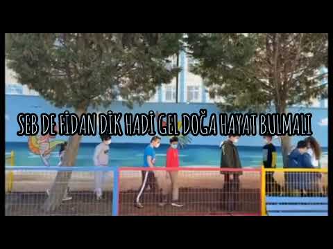 CEBİMDEKİ NOTALAR ORMAN ŞARKISI ( SÖZLERİ YAZILI VERSİYONU)