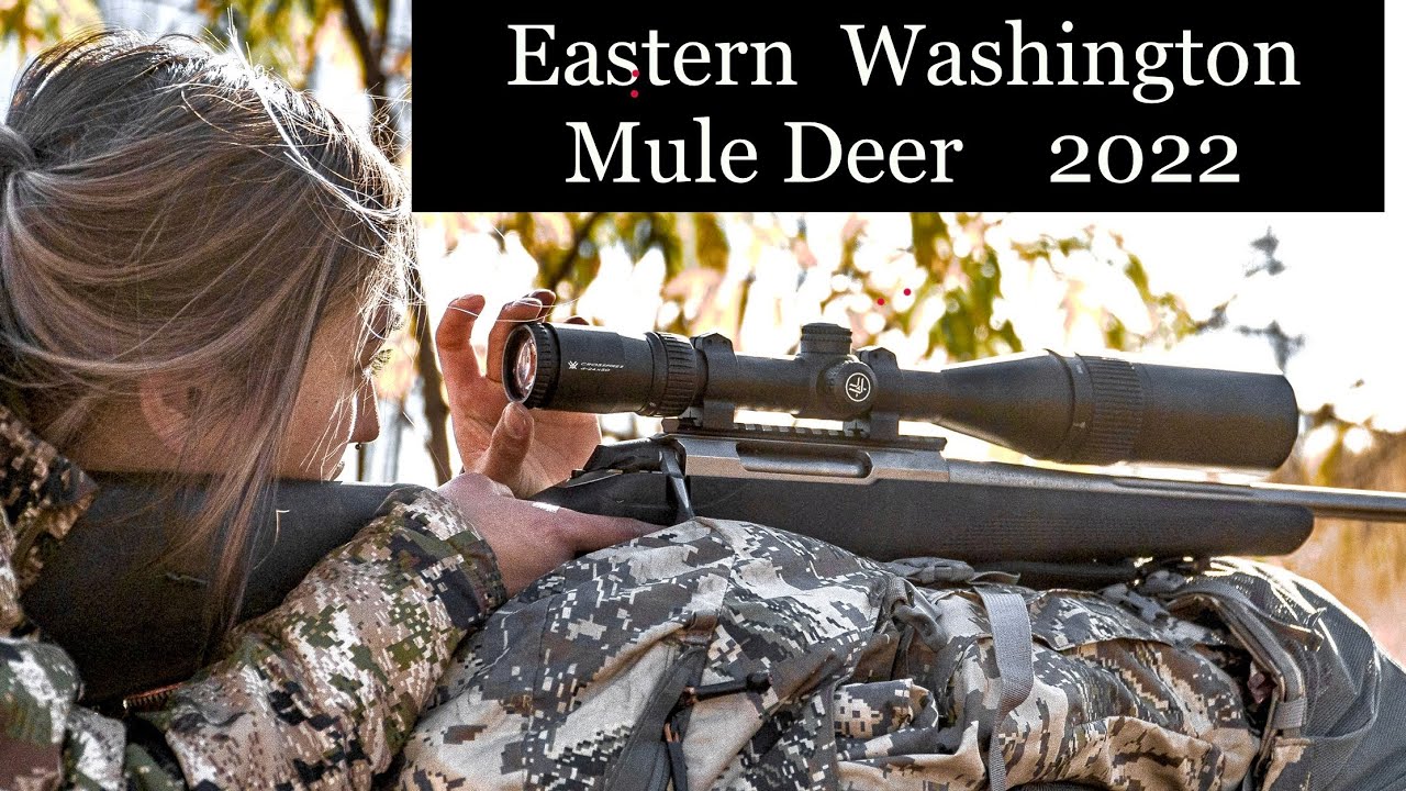 LOOKING FOR FIRST BUCK! | 4K VIDEO | WASHINGTON MULE DEER HUNT - YouTube