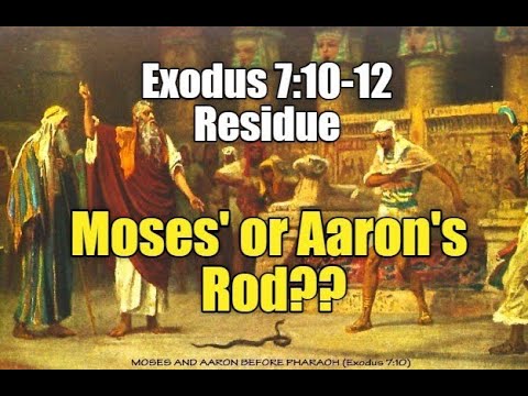 Exodus 7:10-12 "Moses Cast Down HIs Rod" Residue - Bible Mandela Effect ...
