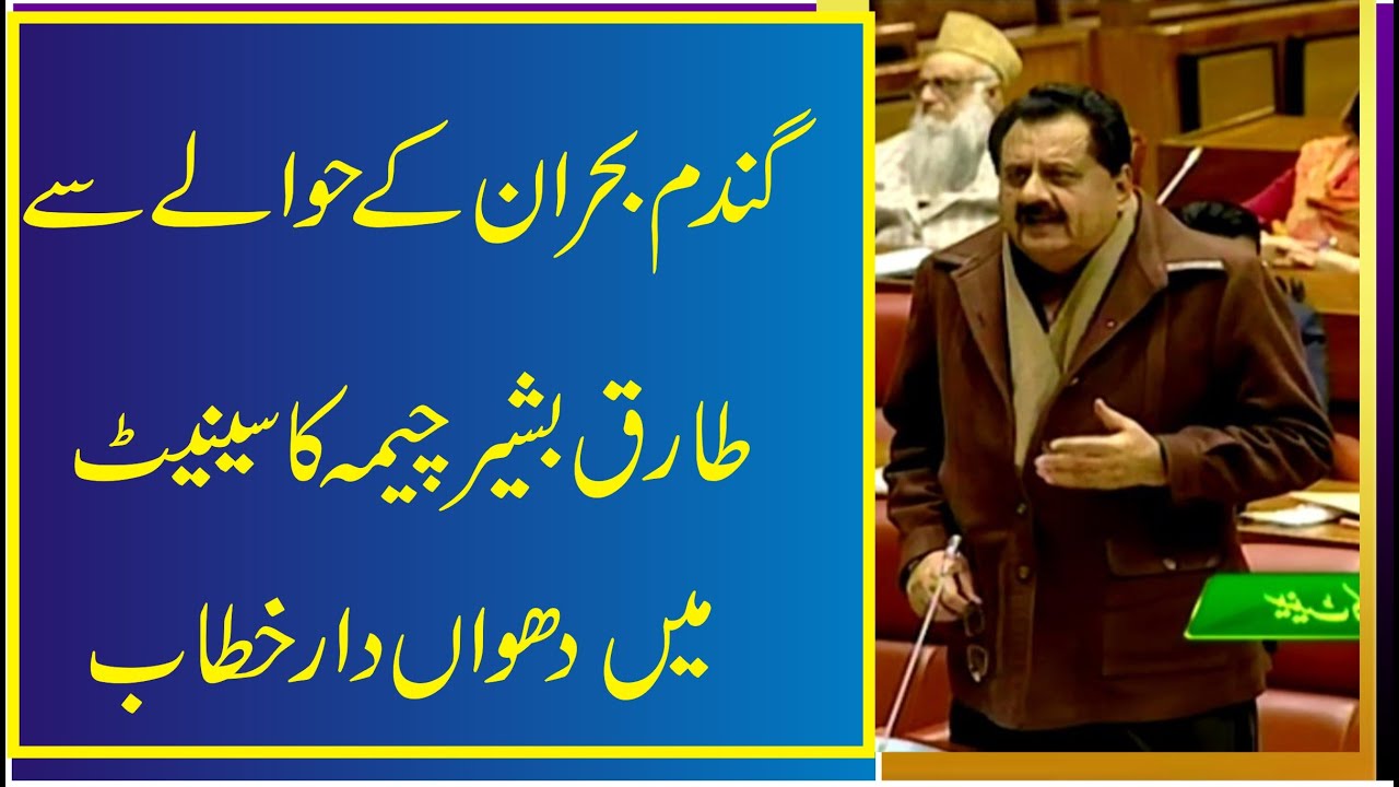 PMLQ Tariq Basheer Cheema Sensational Speech In Senate Of Pakistan ...