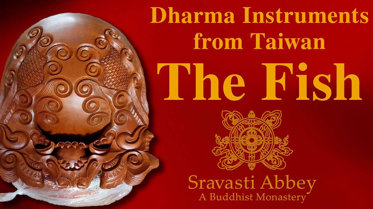 Fish—Dharma Instruments Are Arriving! - YouTube