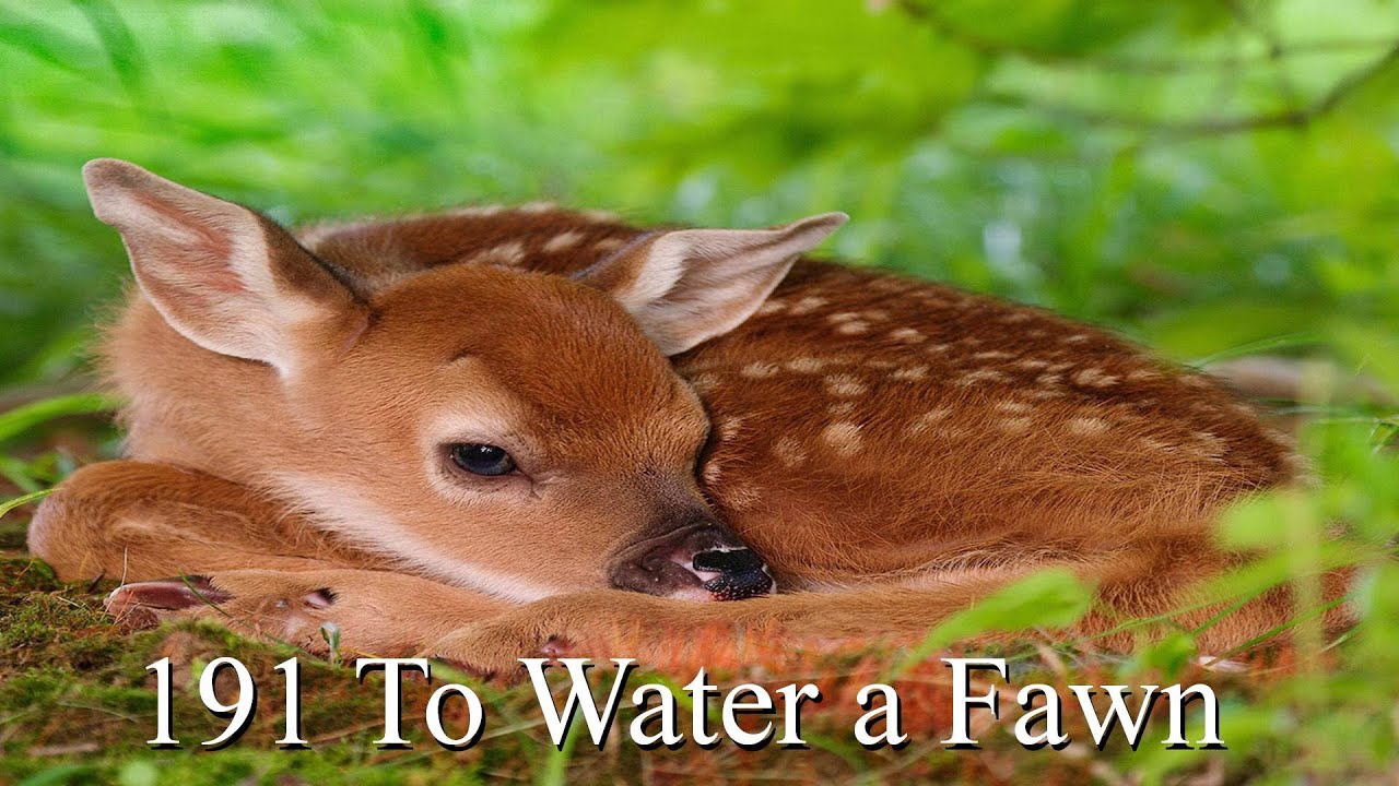 The Old Principal 191 - YouTube