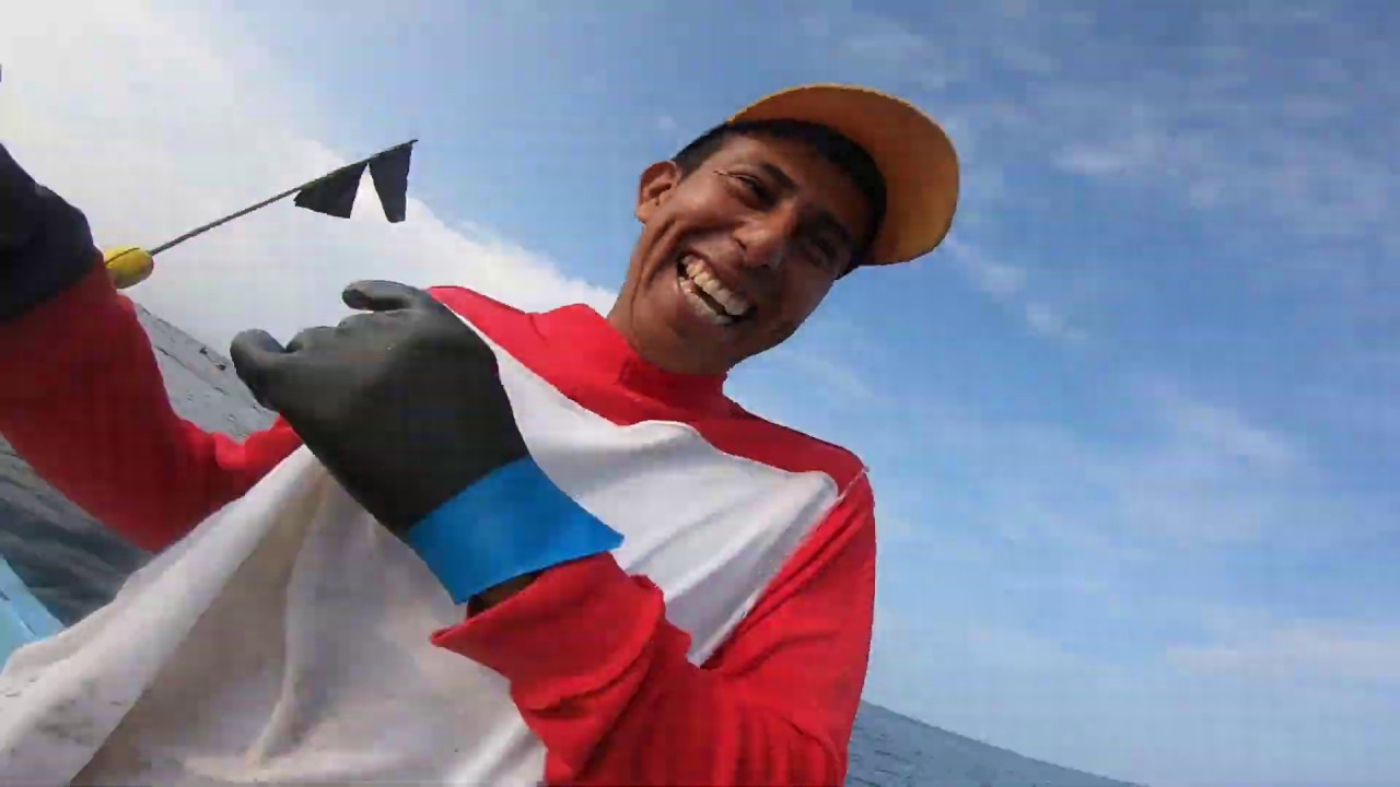 Felices por un nuevo día de pesca, hoy le pegamos a los ureles - YouTube