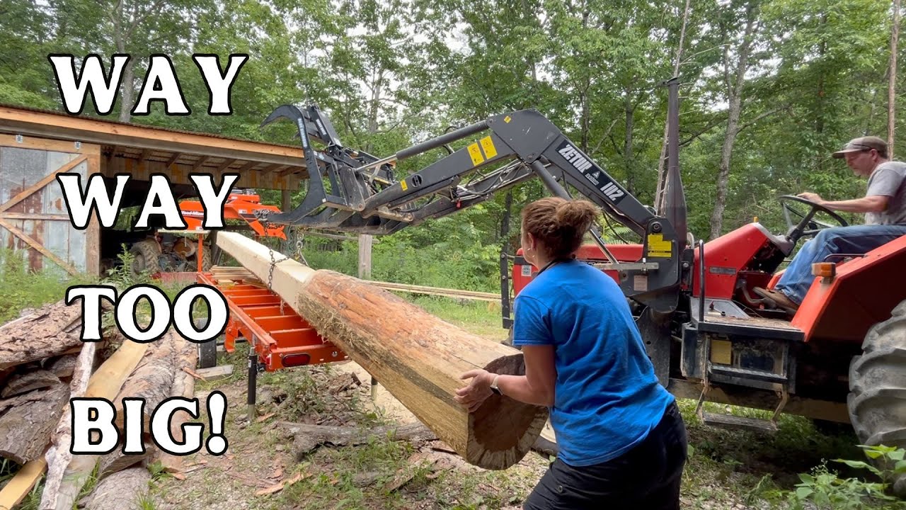 #77 WOODMIZER LT15 VS LONGEST LOG EVER - Sawing a Giant Log #logging # ...