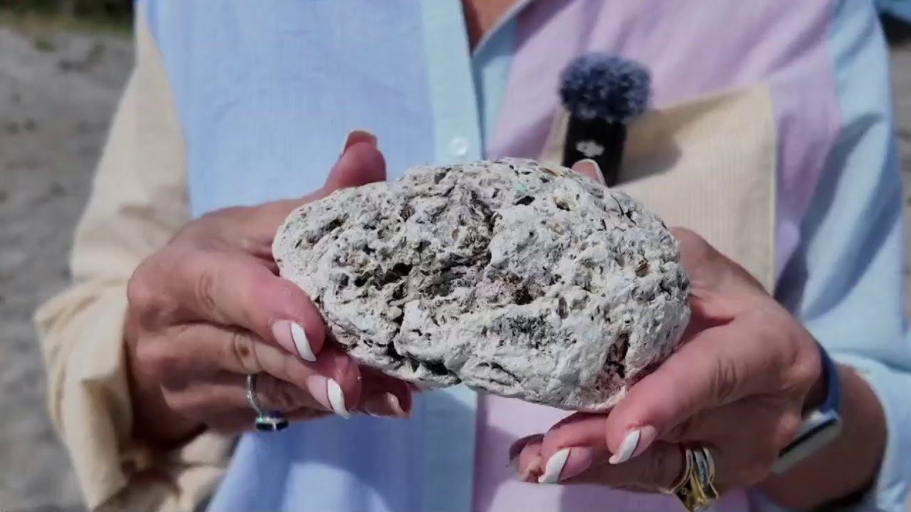 Woman finds ambergris on Florida beach. The whale poop could be worth a ...