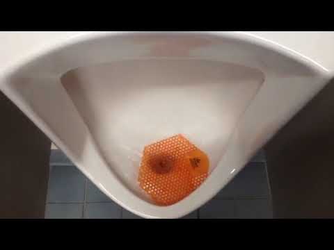 State fair community college restroom full shoot - YouTube