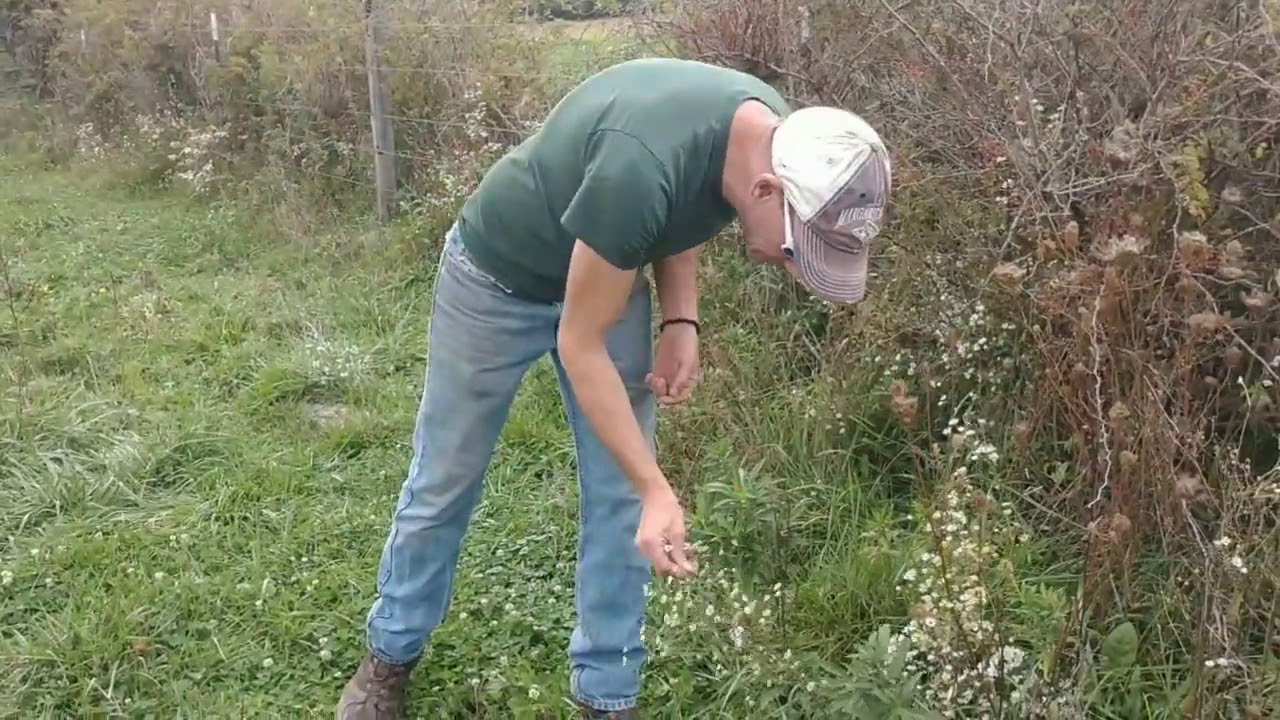 Herb Workshop With a Group of Amish Folks - Benefits - Uses - How To ...