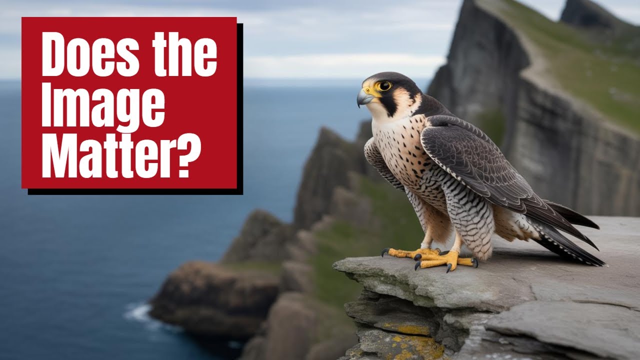 Sometimes the Images Don't Matter - Peregrine Falcons on the Edge ...