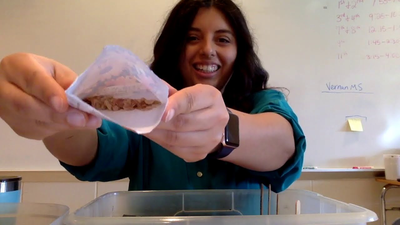 Gardening with Ms. Sanchez - YouTube