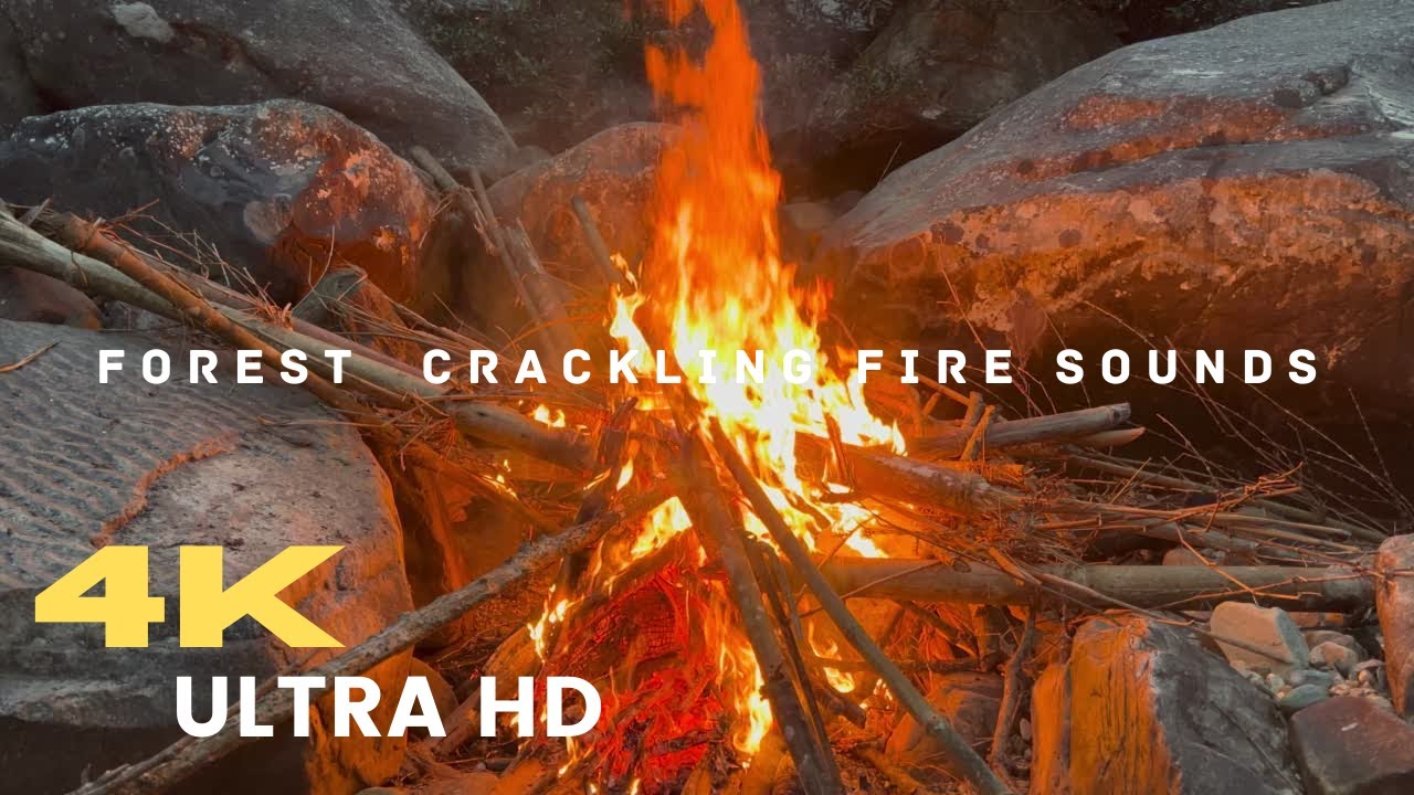 Crackling Fireplace (1 HOURS ULTRA HD 4K ) Forest Camfire Sounds ...