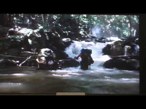 Opening to Chasing Amy UK VHS (1998)